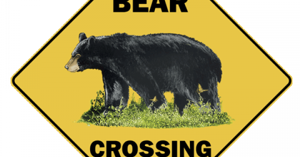 Bear Crossing Sign